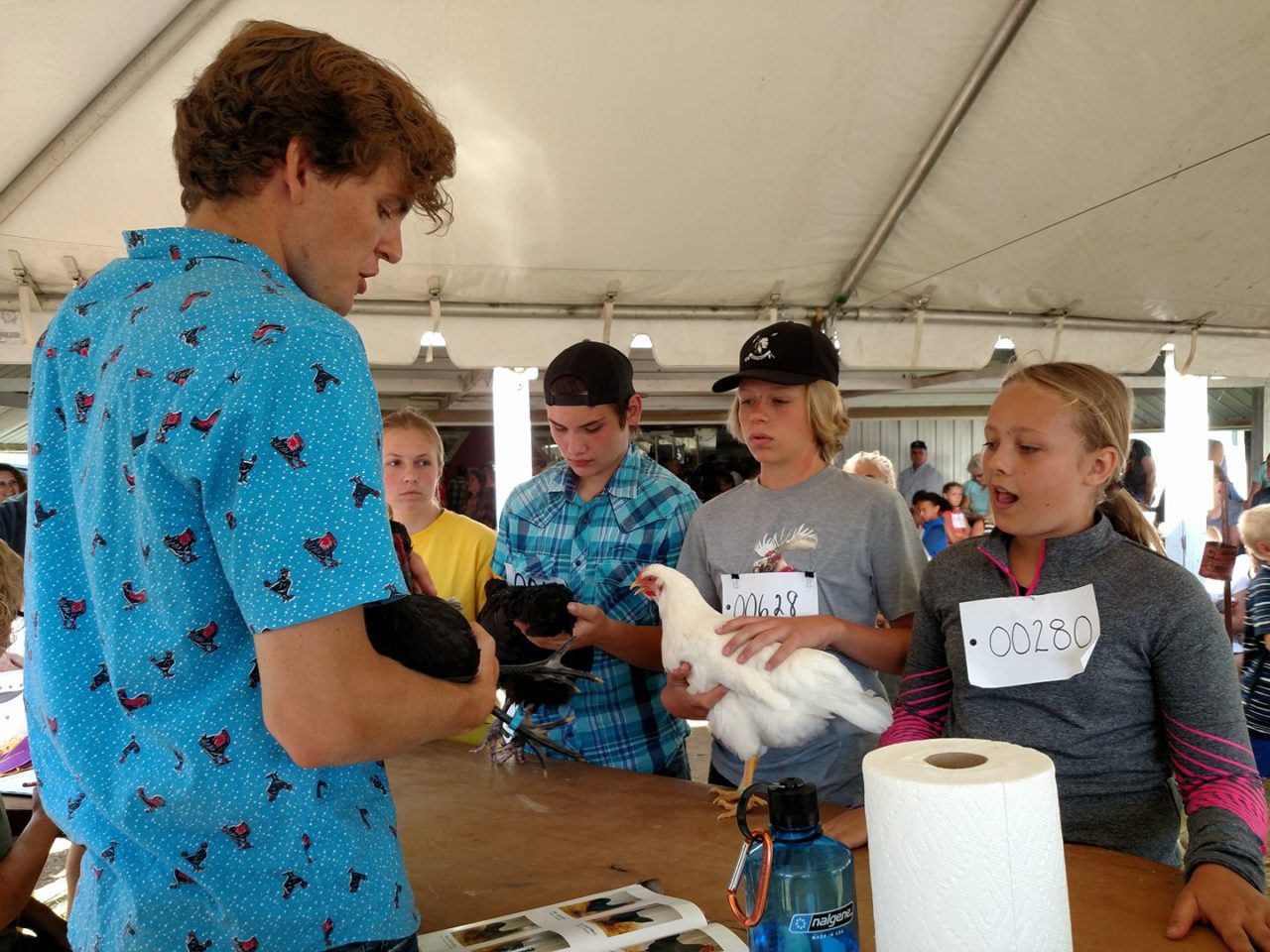 Events at the Polk County Fair | Polk County Fair