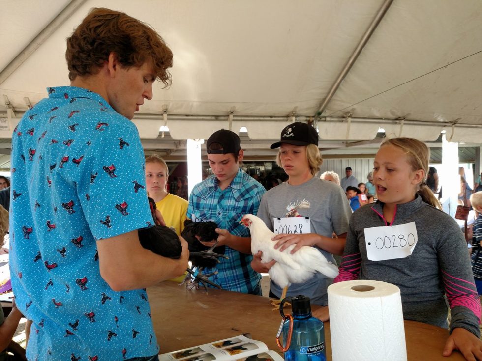 Events at the Polk County Fair | Polk County Fair